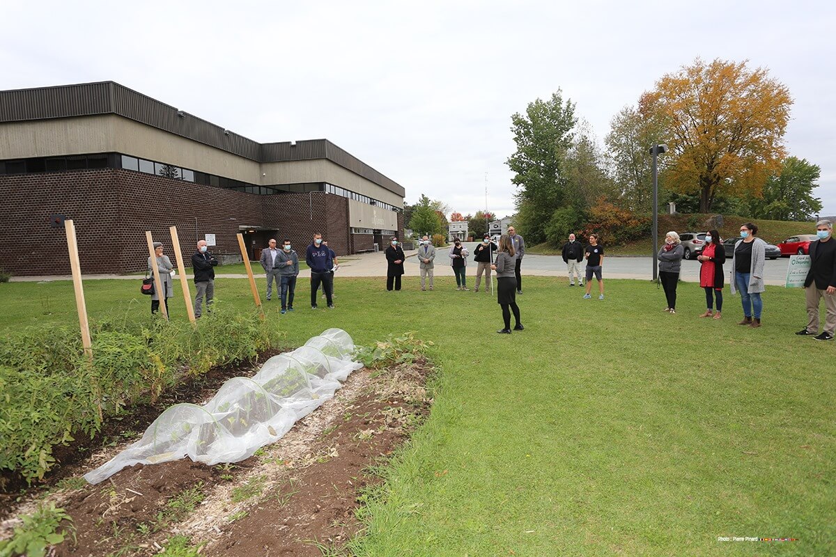 La cour de l'école du Tournesol fait peau neuve - Centre de services ...